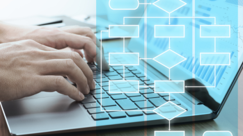 Risk Detection & SoD Management - ALLOut Security