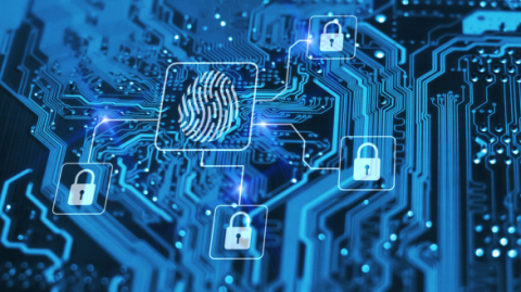 JDE Access Reporting - ALLOut Security